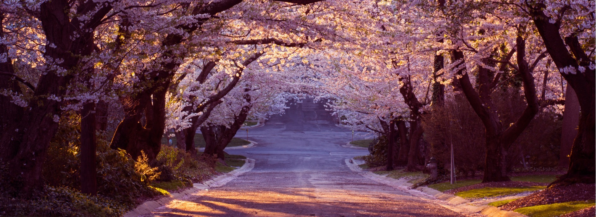 Steward Partners Global Advisory | Bethesda, MD